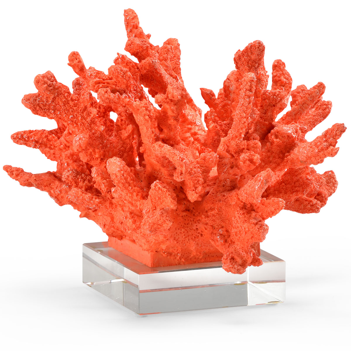 Red Coral