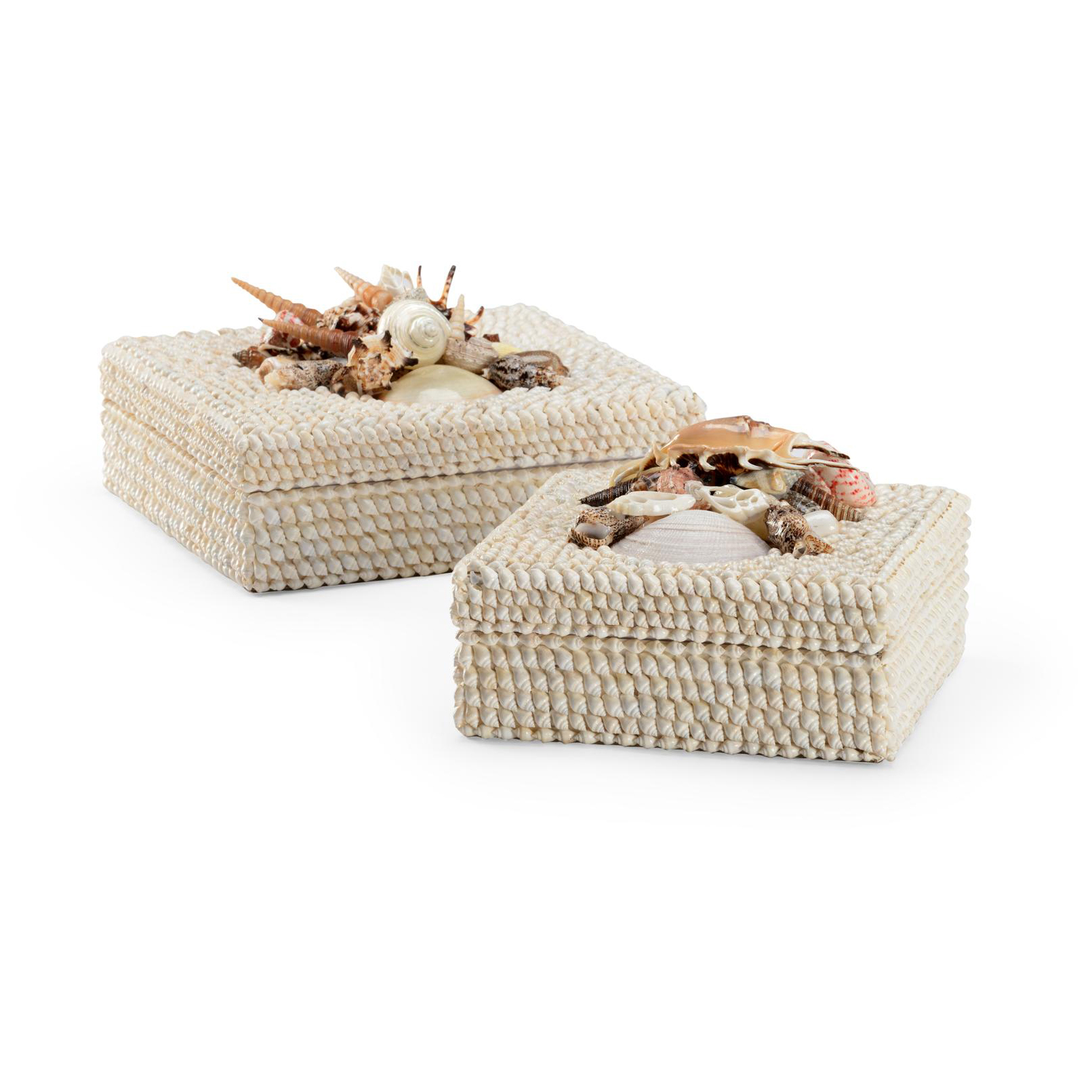 Beachy Treasure Box Set with Shells - Coastal Decor - Home Accents