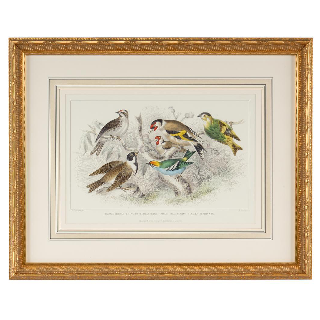 Handcrafted Avian Prints with Golden Accents - Eco-Friendly - Luxury Decor