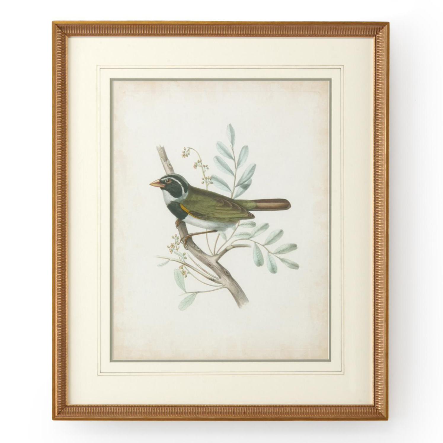 Golden French Avian Art Print - Luxury - Home Decor